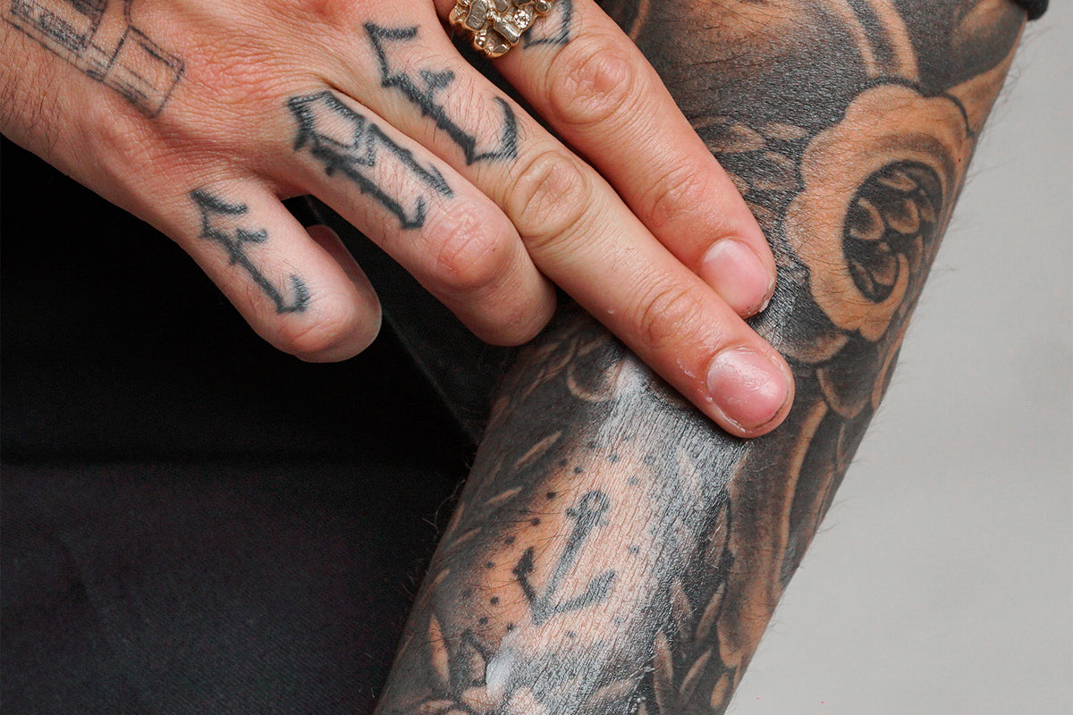 Your Skin: The Science of the Integumentary System